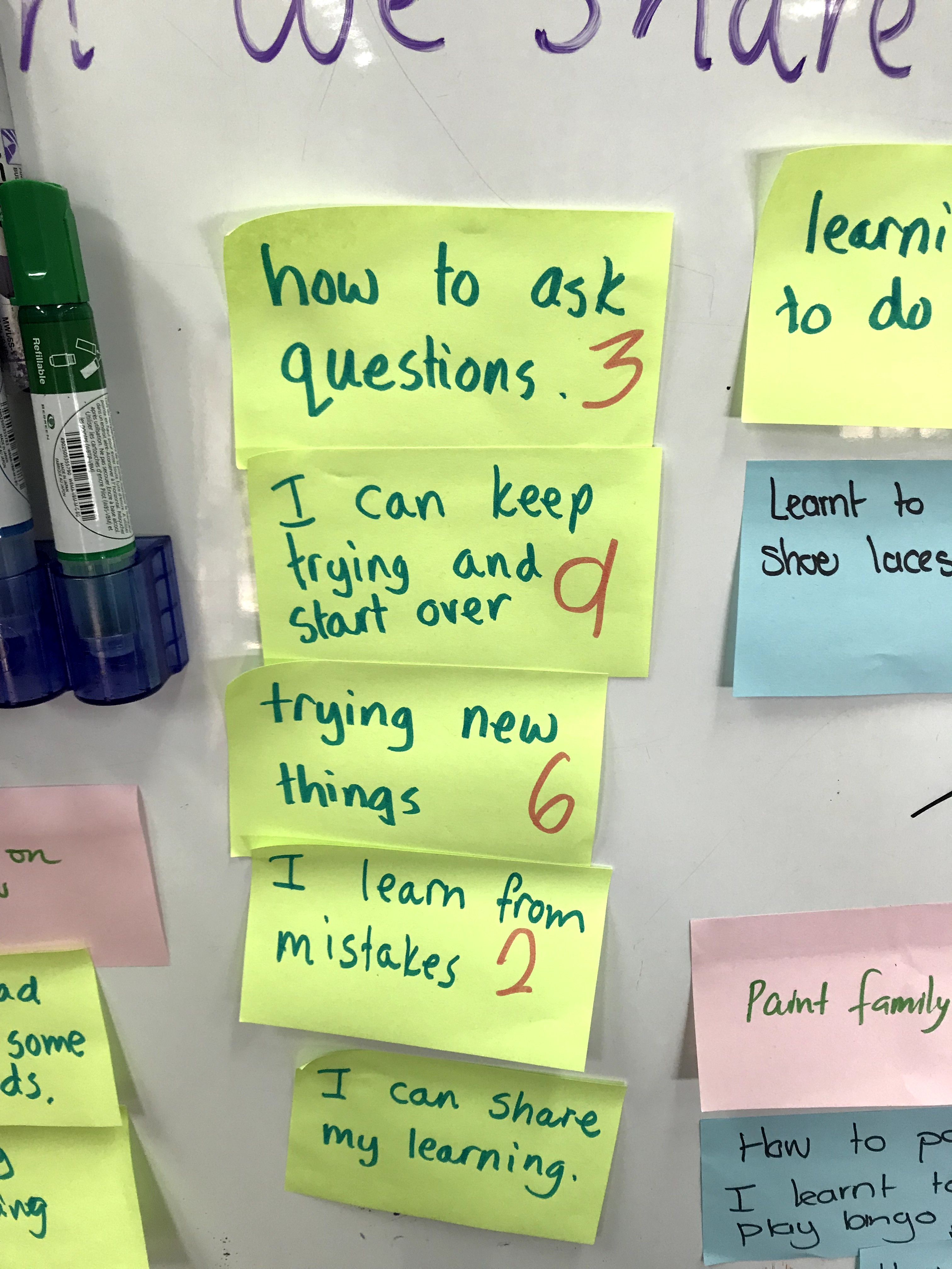 Reflection, goal setting and TIM – Honor Learners